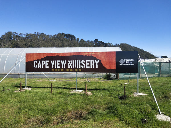 More Signs - Todd Rogers Signs